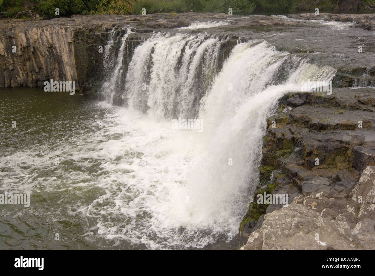 New Zealand Haruru Falls near Paihia Stock Photo - Alamy