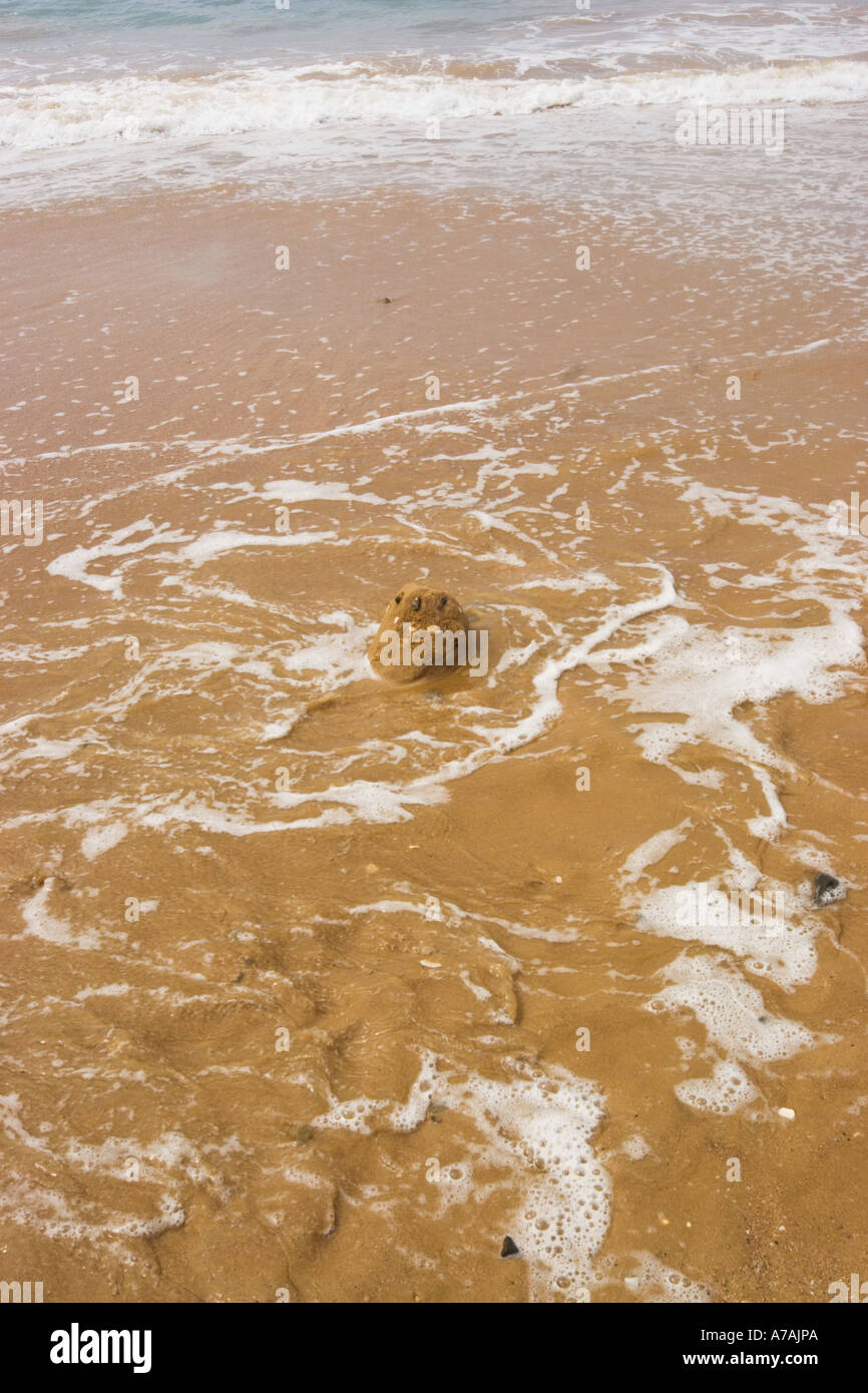 New Zealand Beach at Te Ngaire Te Ngaere Bay Stock Photo - Alamy