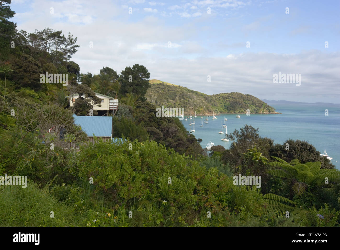 Doubtless bay hi-res stock photography and images - Alamy