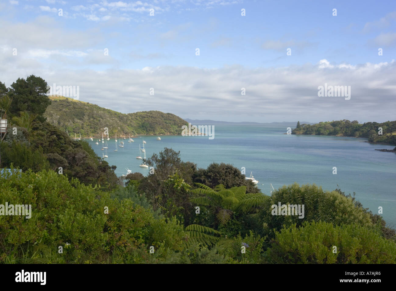 Doubtless bay new zealand hi-res stock photography and images - Alamy