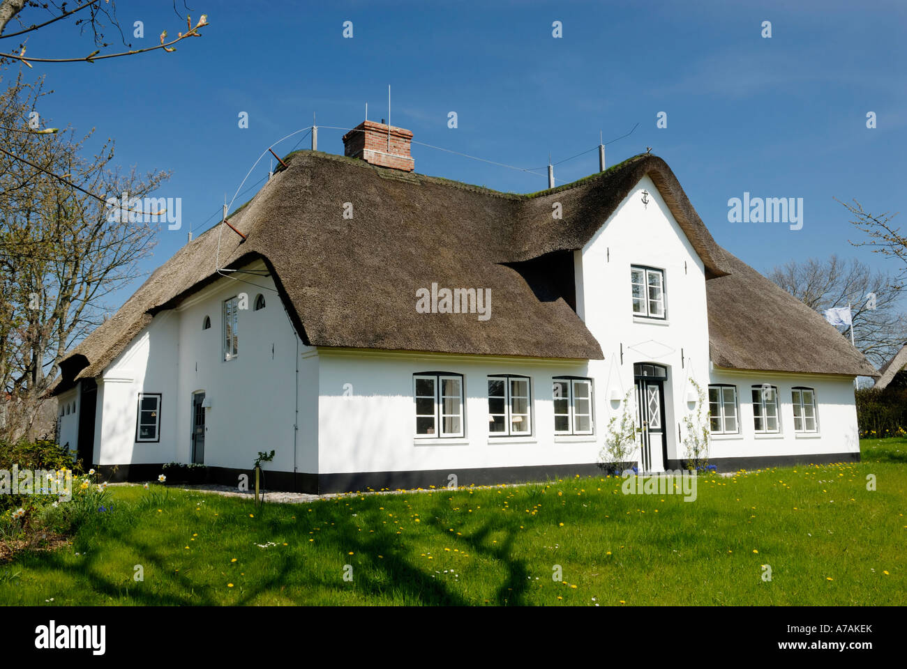 Reet roof hi-res stock photography and images - Alamy