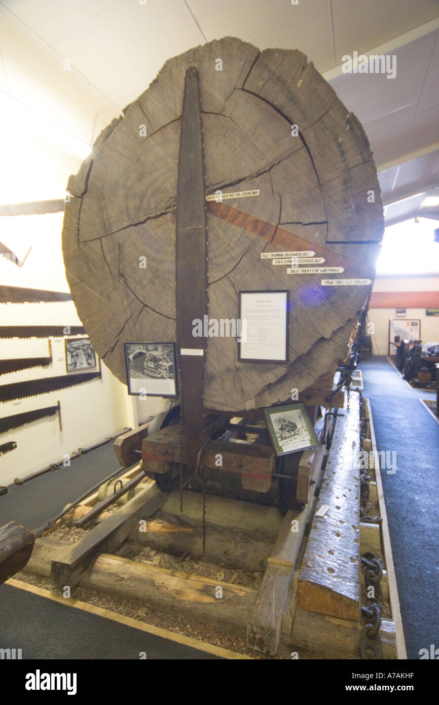 Kauri log hi-res stock photography and images - Alamy