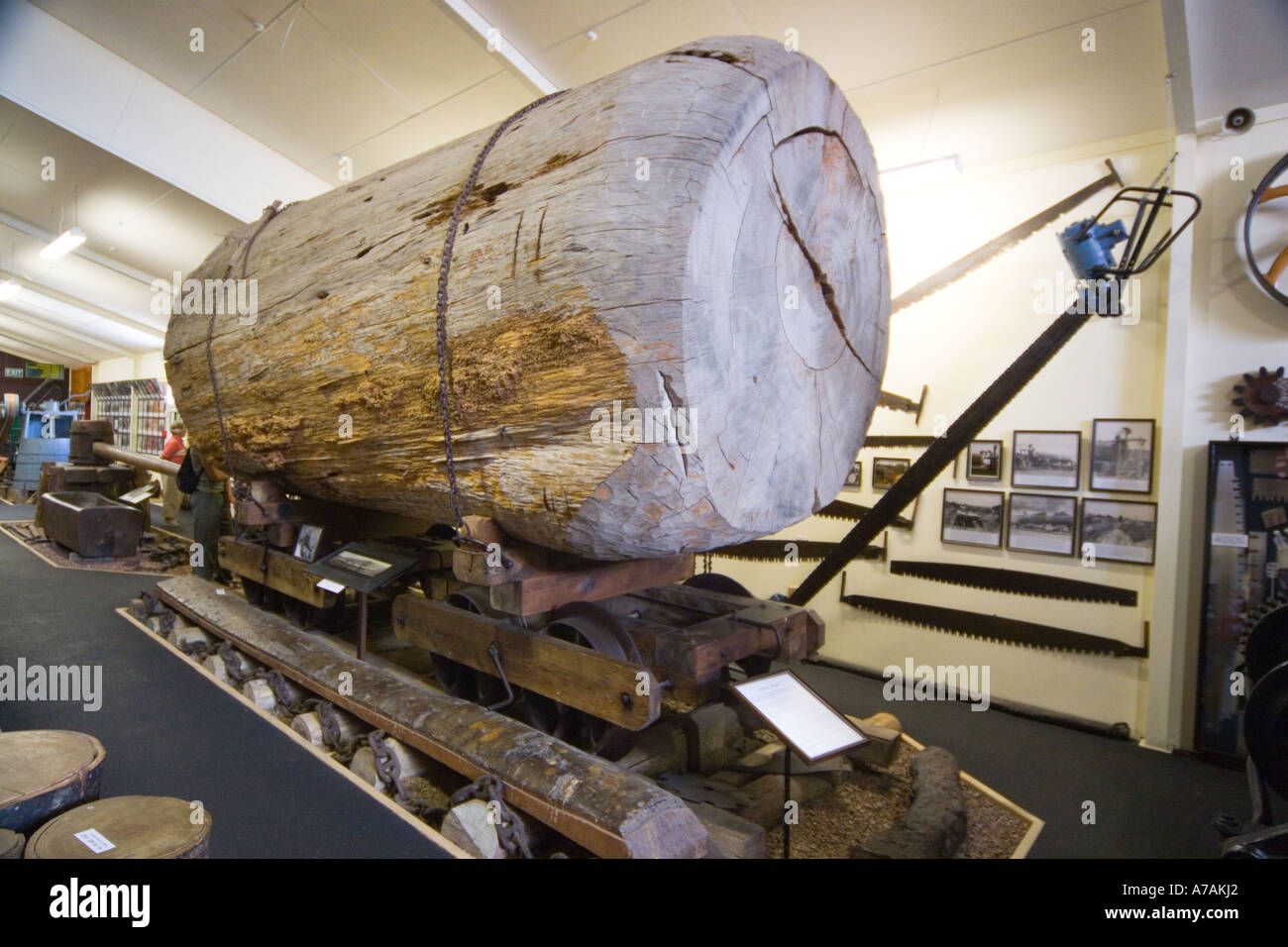 Kauri log hi-res stock photography and images - Alamy