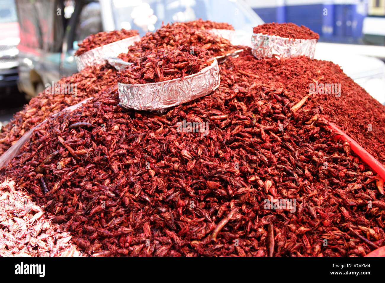 Grasshoppers fried in chilis Chapulines a delicacy enjoyed during the ...