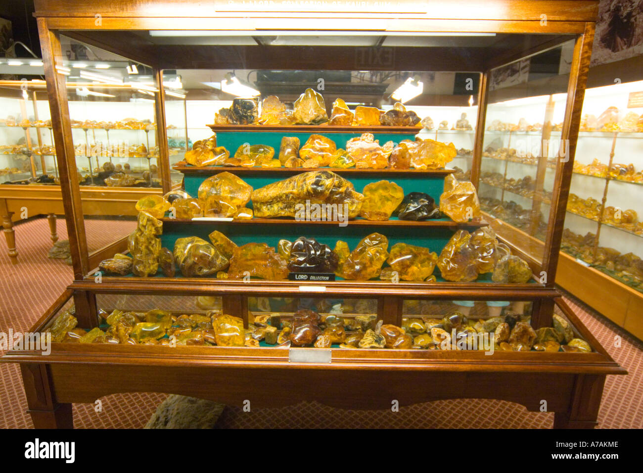 Matakohe New Zealand Kauri Museum Kauri Gum display Stock Photo - Alamy
