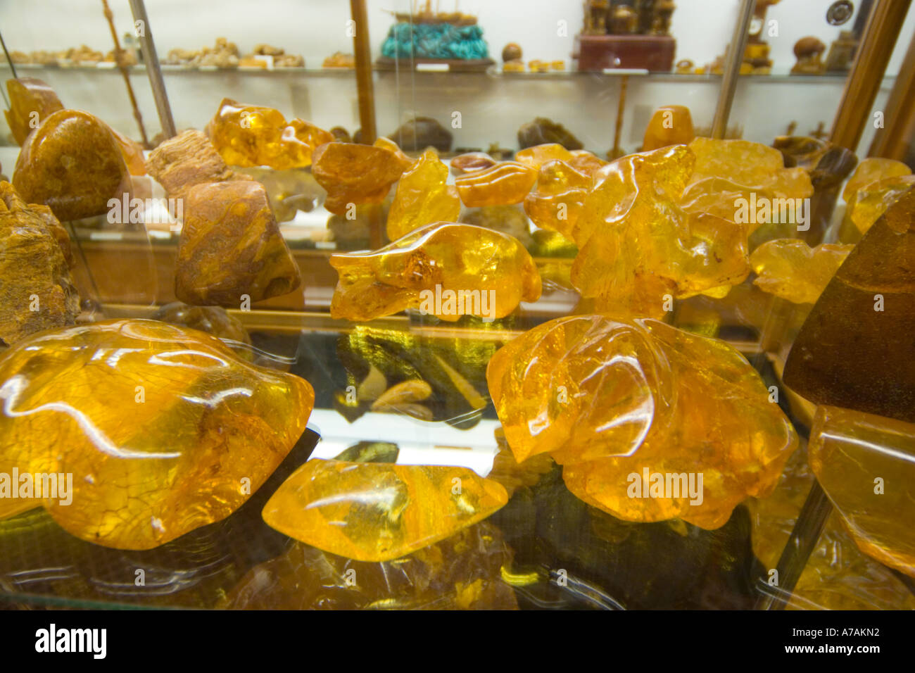 Kauri gum hi-res stock photography and images - Alamy
