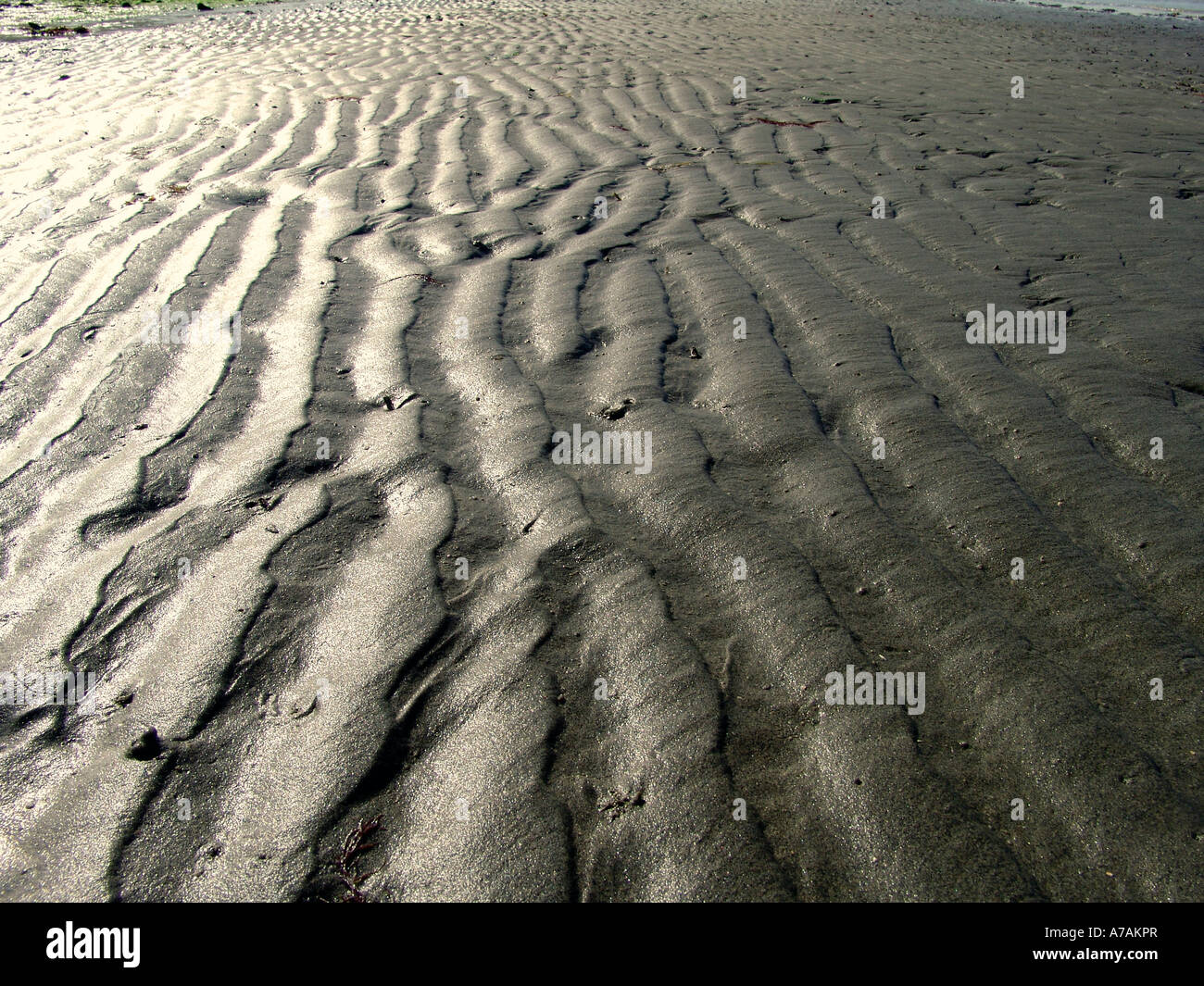 Sand after the sea has left a ripple effect Stock Photo - Alamy