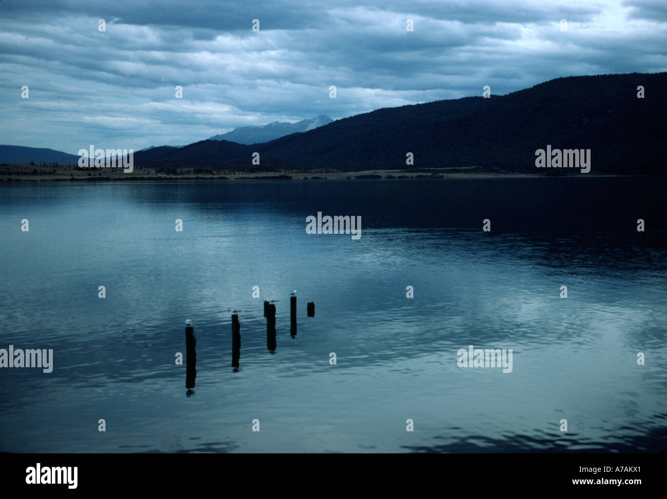 Blue dusk- New Zealand lakeside Stock Photo - Alamy