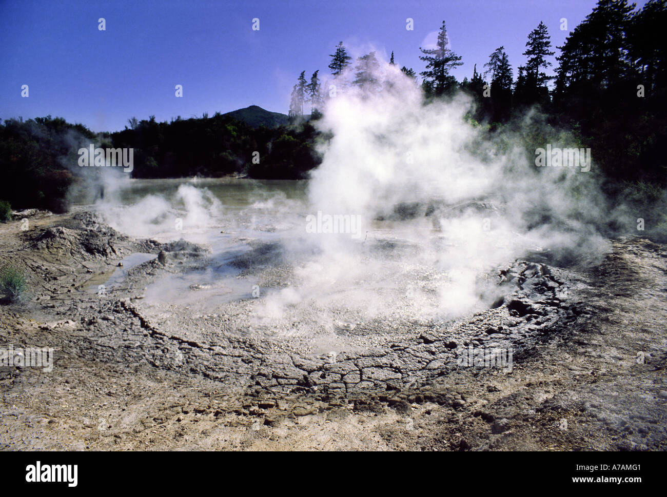 Rotorua mud springs- New Zealand Stock Photo - Alamy