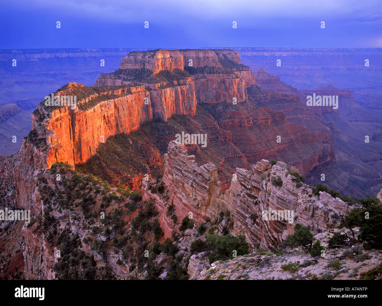 Freya parks hi-res stock photography and images - Alamy