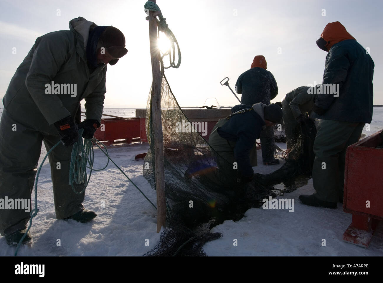 Smelt Fishing through the ice on a freezing cold winter day on ...
