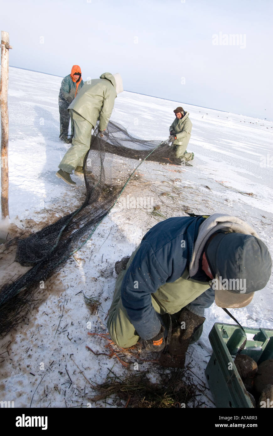 Smelt Fishing through the ice on a freezing cold winter day on ...