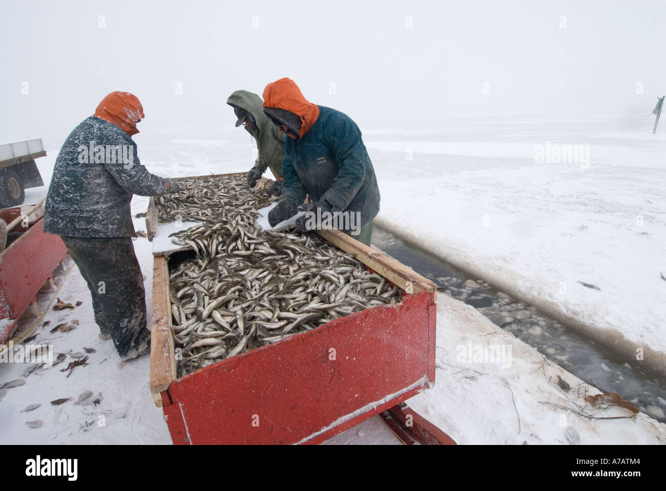 Frozen miramichi bay hi-res stock photography and images - Alamy
