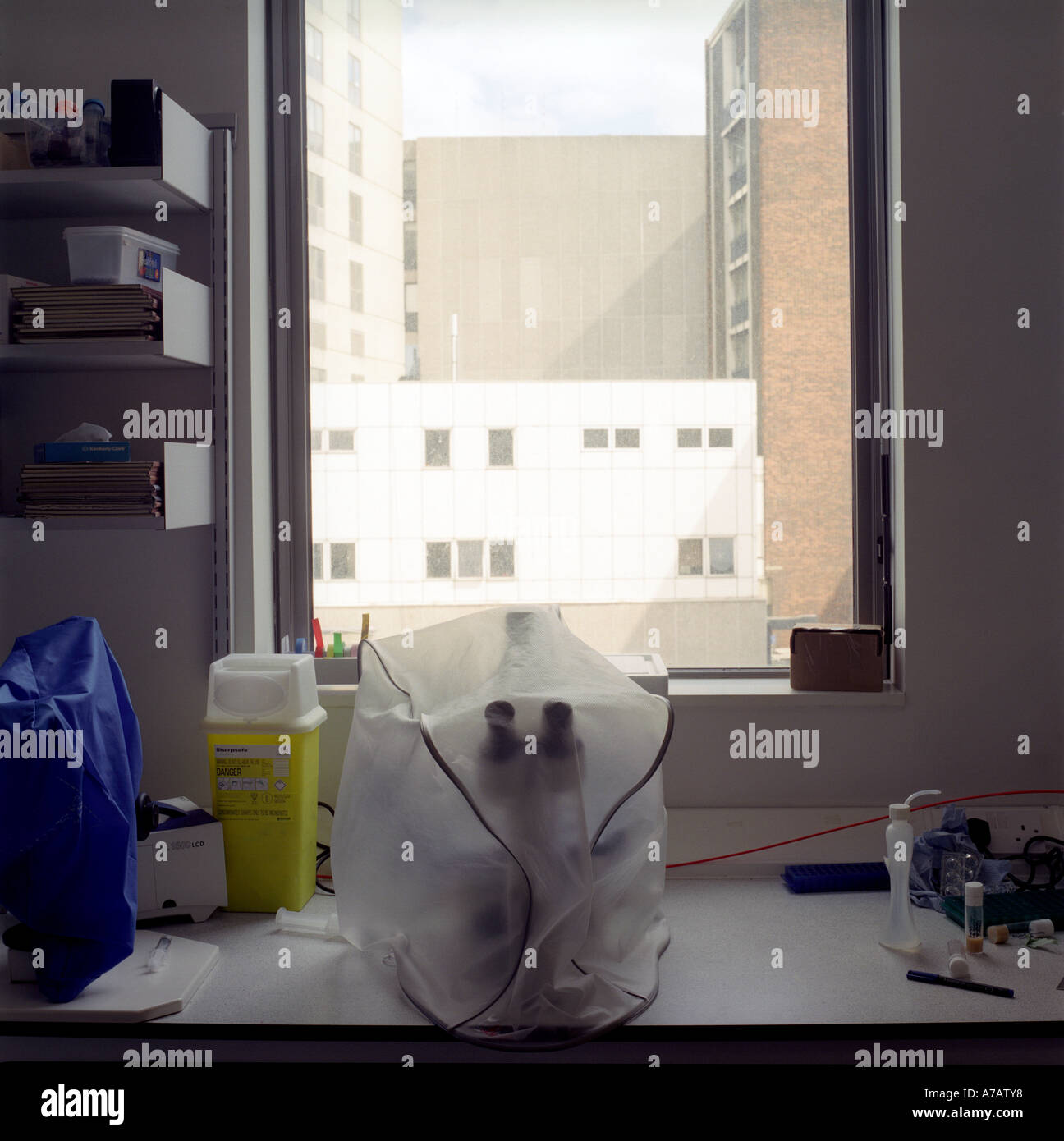 covered microscope in biology lab, in front of the window Stock Photo ...