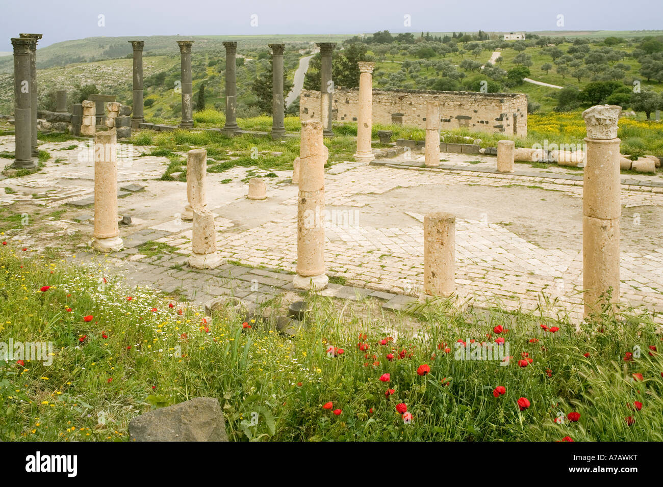 Jordan, Umm Qais Stock Photo - Alamy