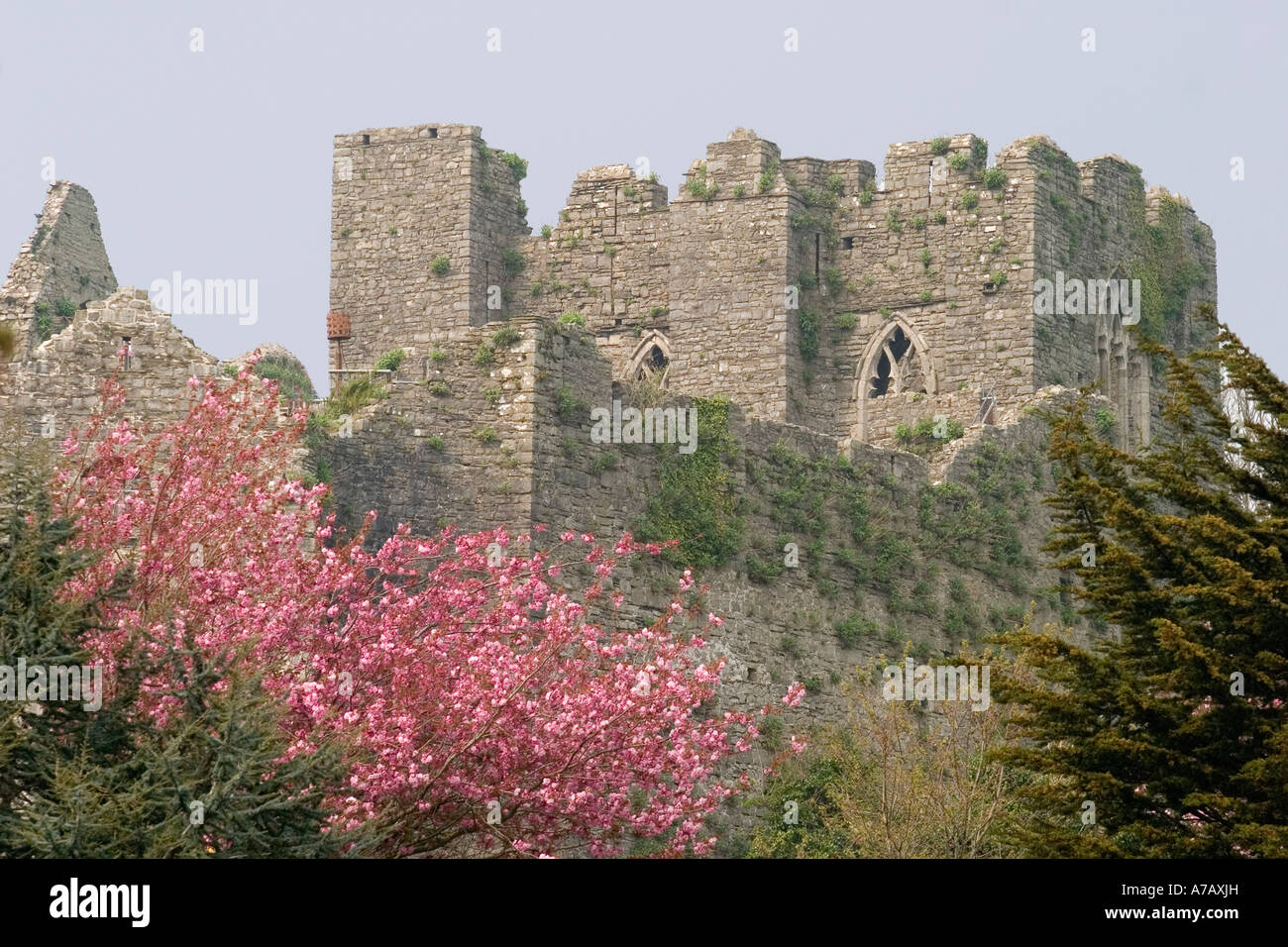 Wales, Swansea, Mumbles, Oystermouth castle Stock Photo - Alamy