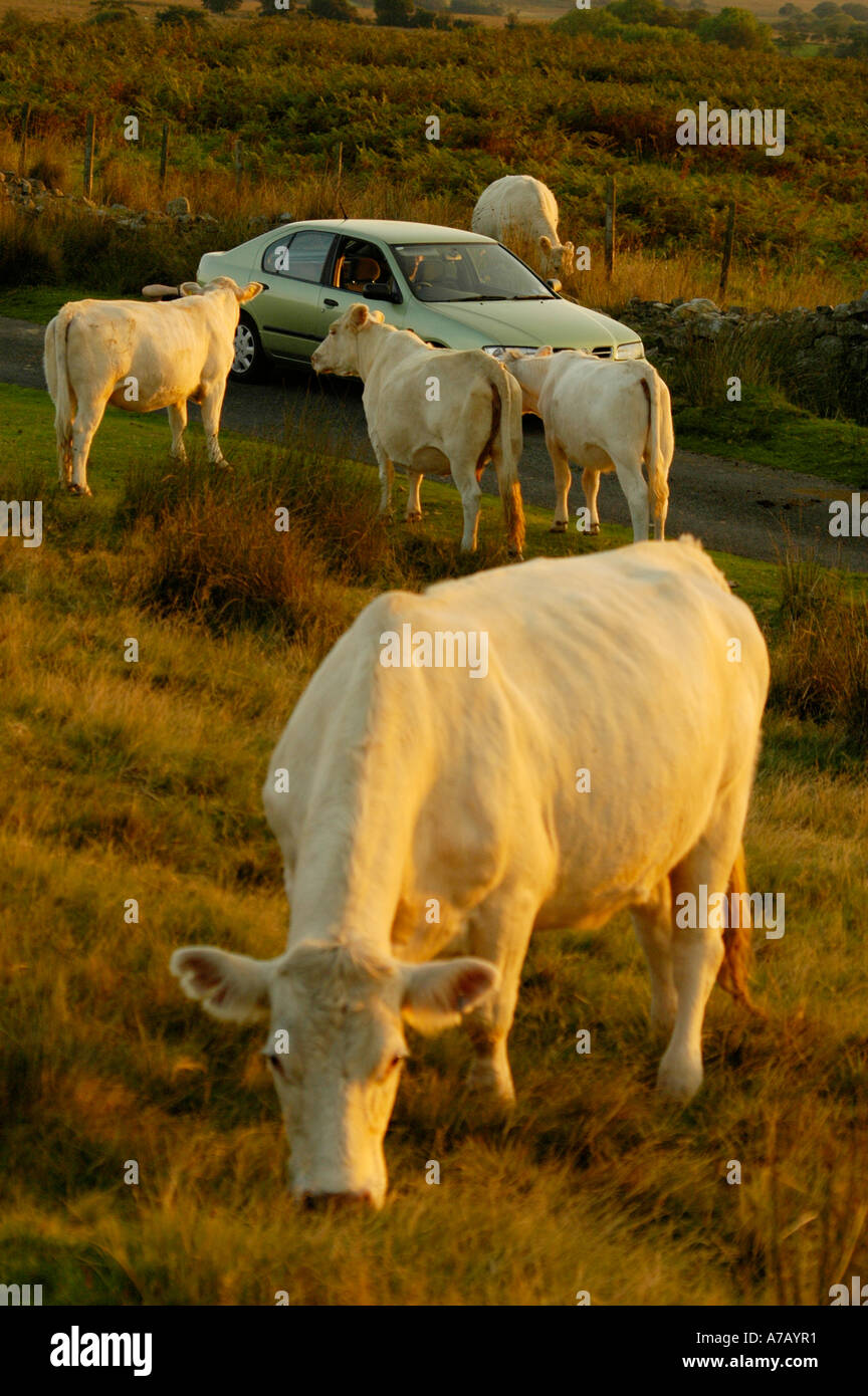 Carreg cennen castle car hi-res stock photography and images - Alamy