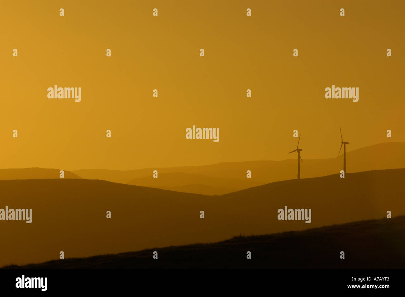 Leri hi-res stock photography and images - Alamy