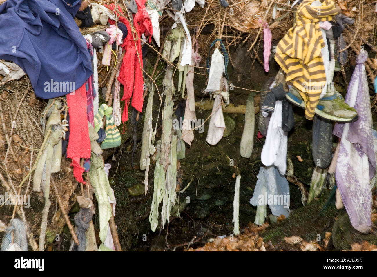 Clootie or Clooty well, an ancient spiritual place where rags, old ...