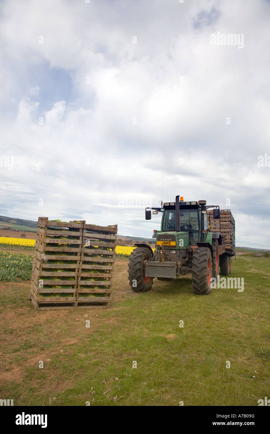 Fend tractor hi-res stock photography and images - Alamy