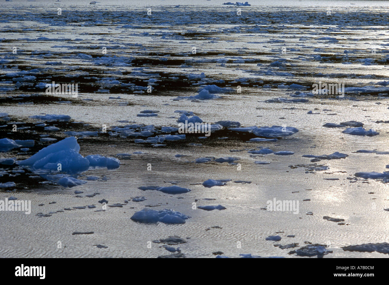 Glacial ice floats on Prince William Sound Alaska Stock Photo - Alamy