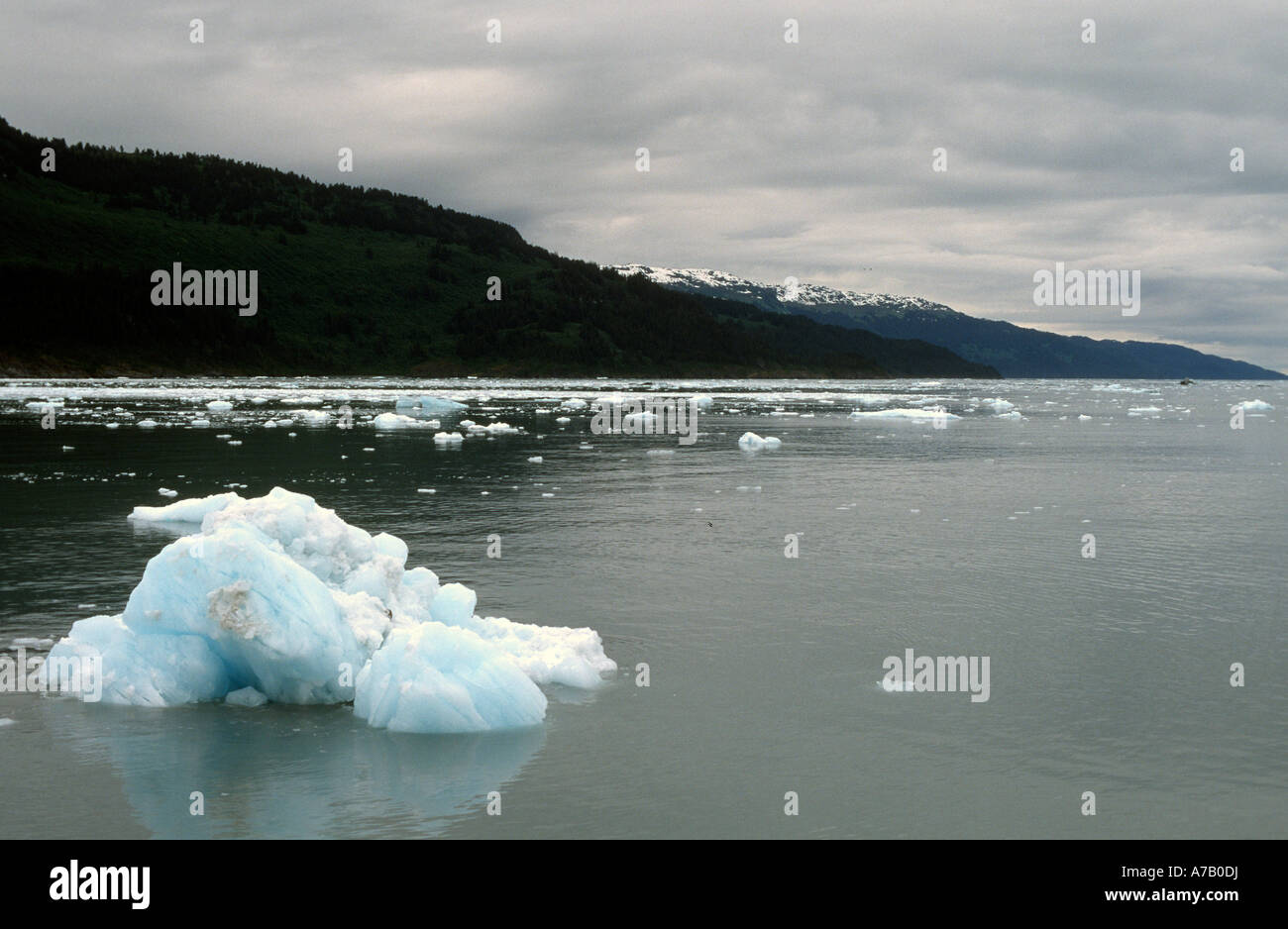 Glacial ice floats on Prince William Sound Alaska Stock Photo - Alamy