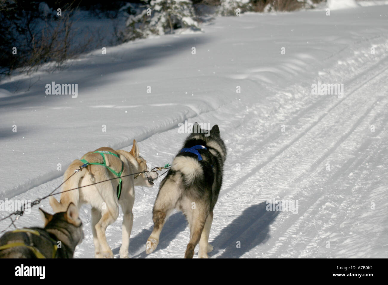 Broken sled hi-res stock photography and images - Alamy