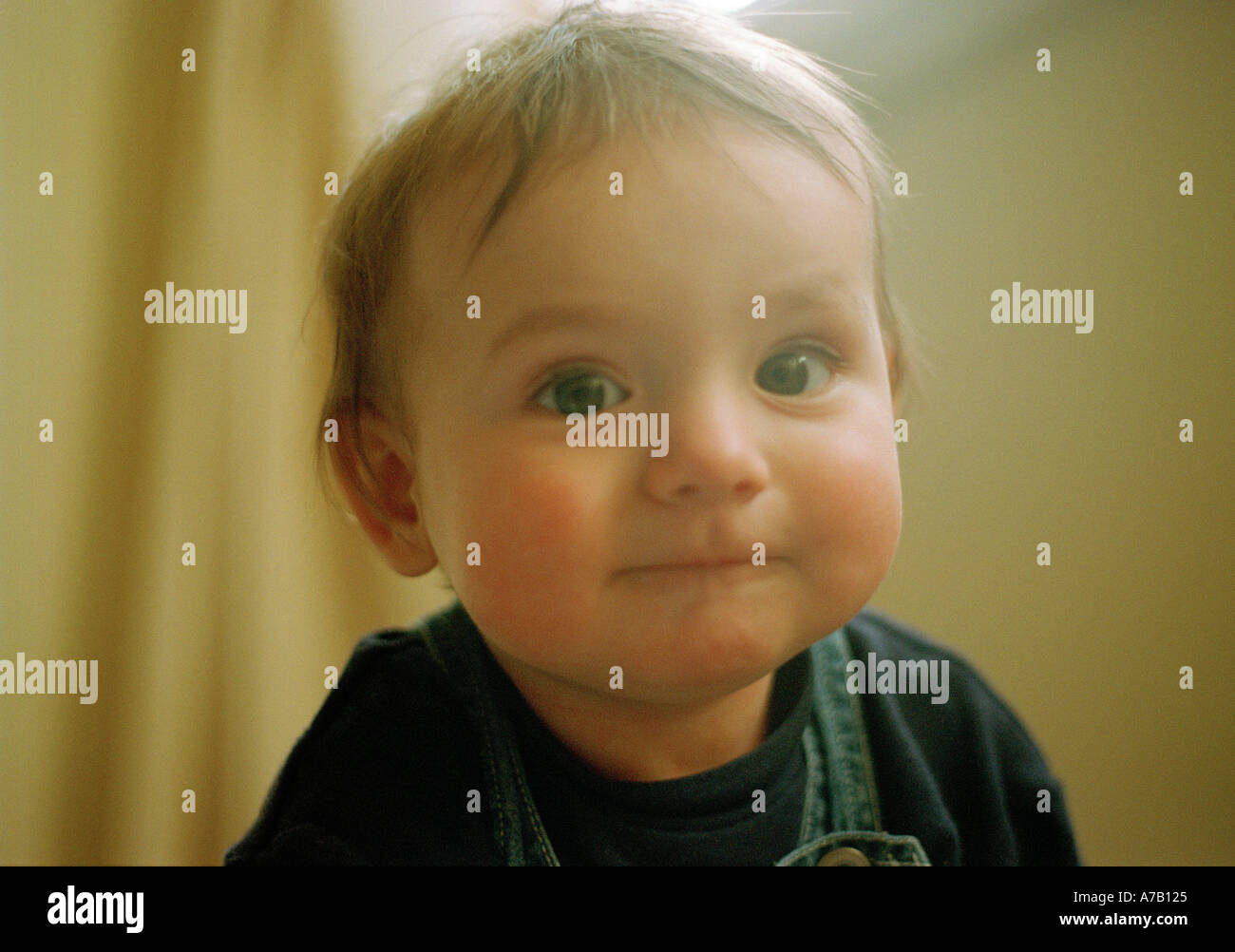head and shoulders shot of baby looking to camera Stock Photo - Alamy
