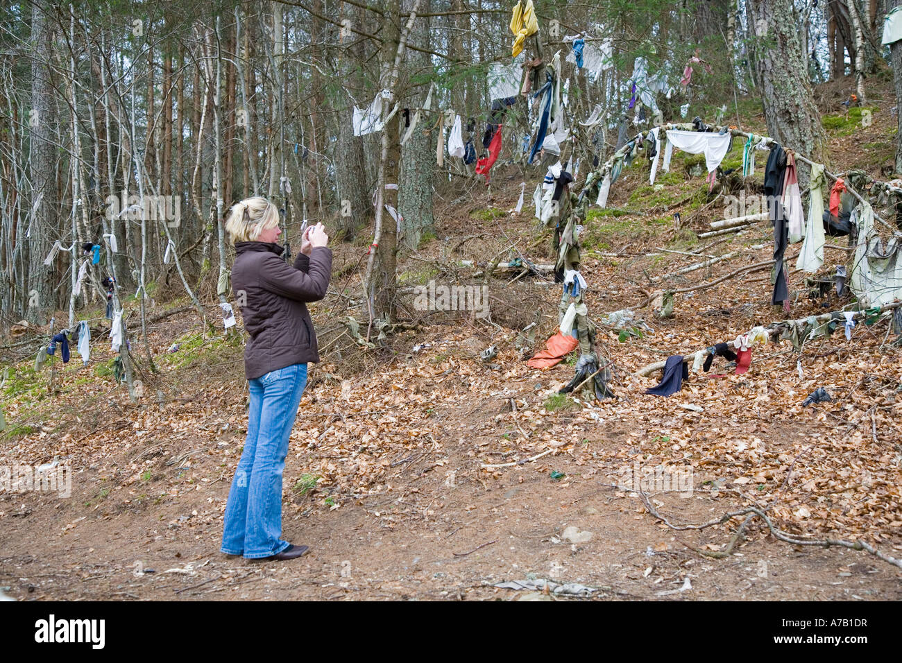 Clootie Tree High Resolution Stock Photography and Images - Alamy