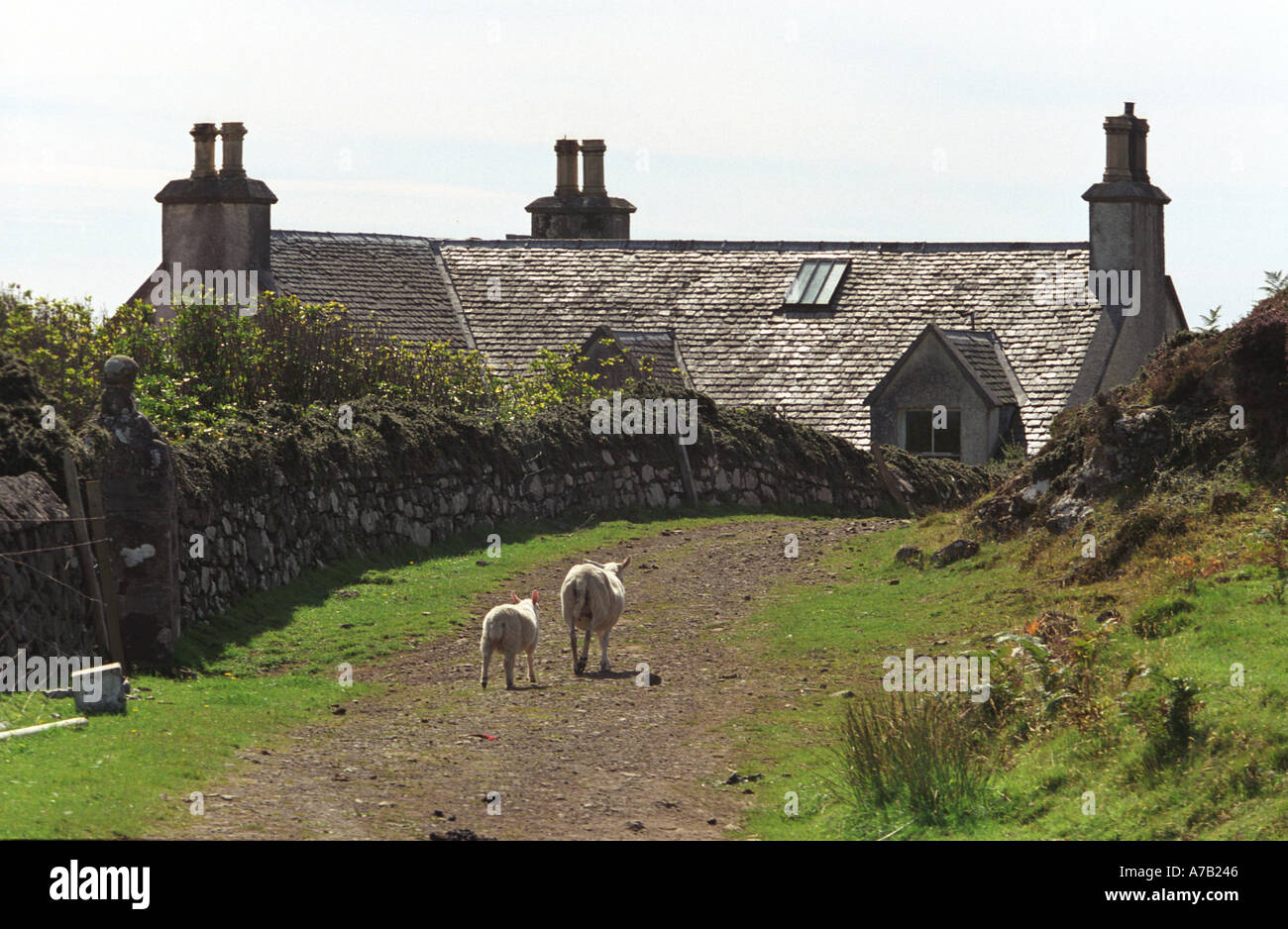 Ruined croft hebrides hi-res stock photography and images - Alamy