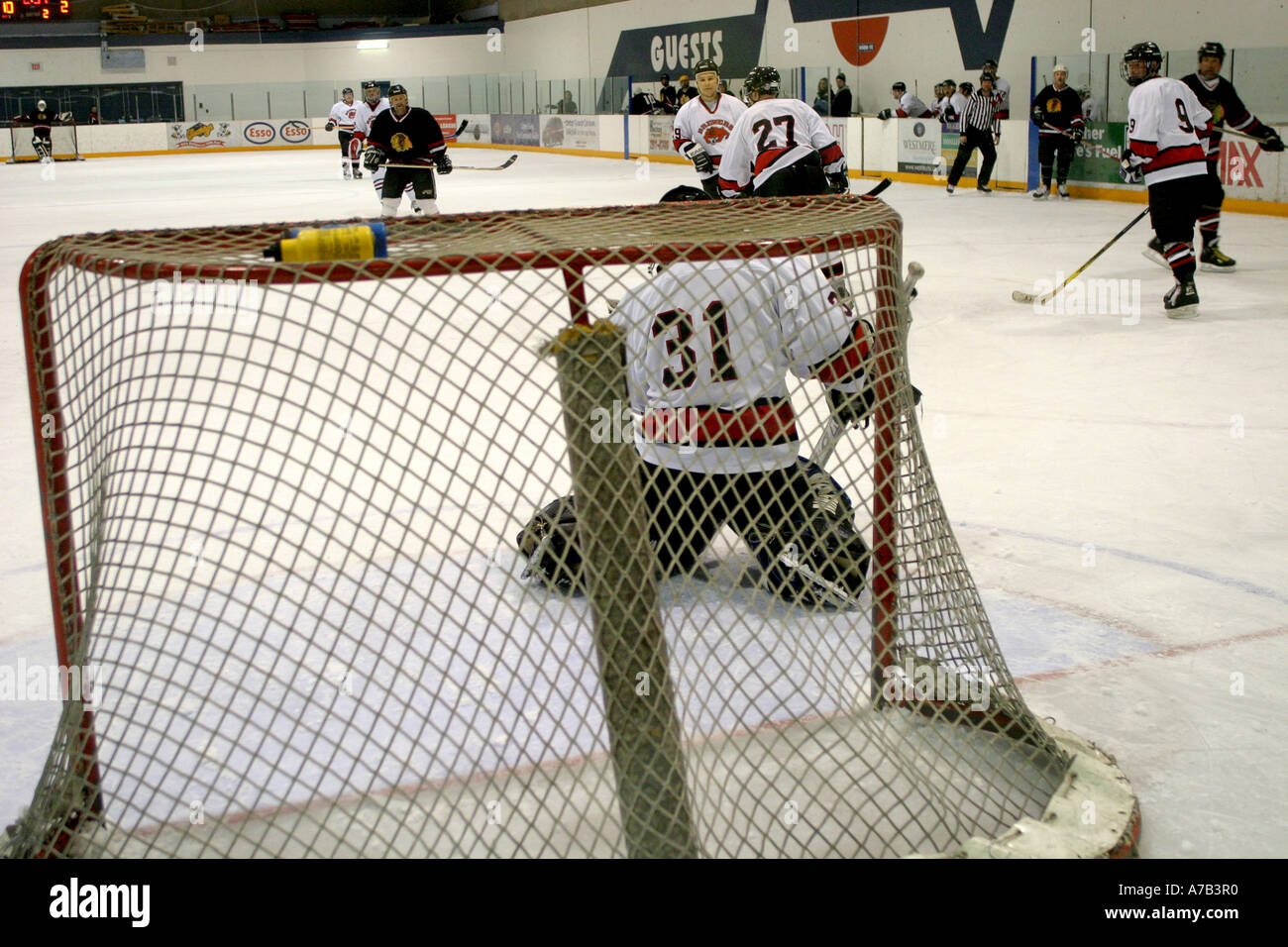 Hockey expert hi-res stock photography and images - Alamy