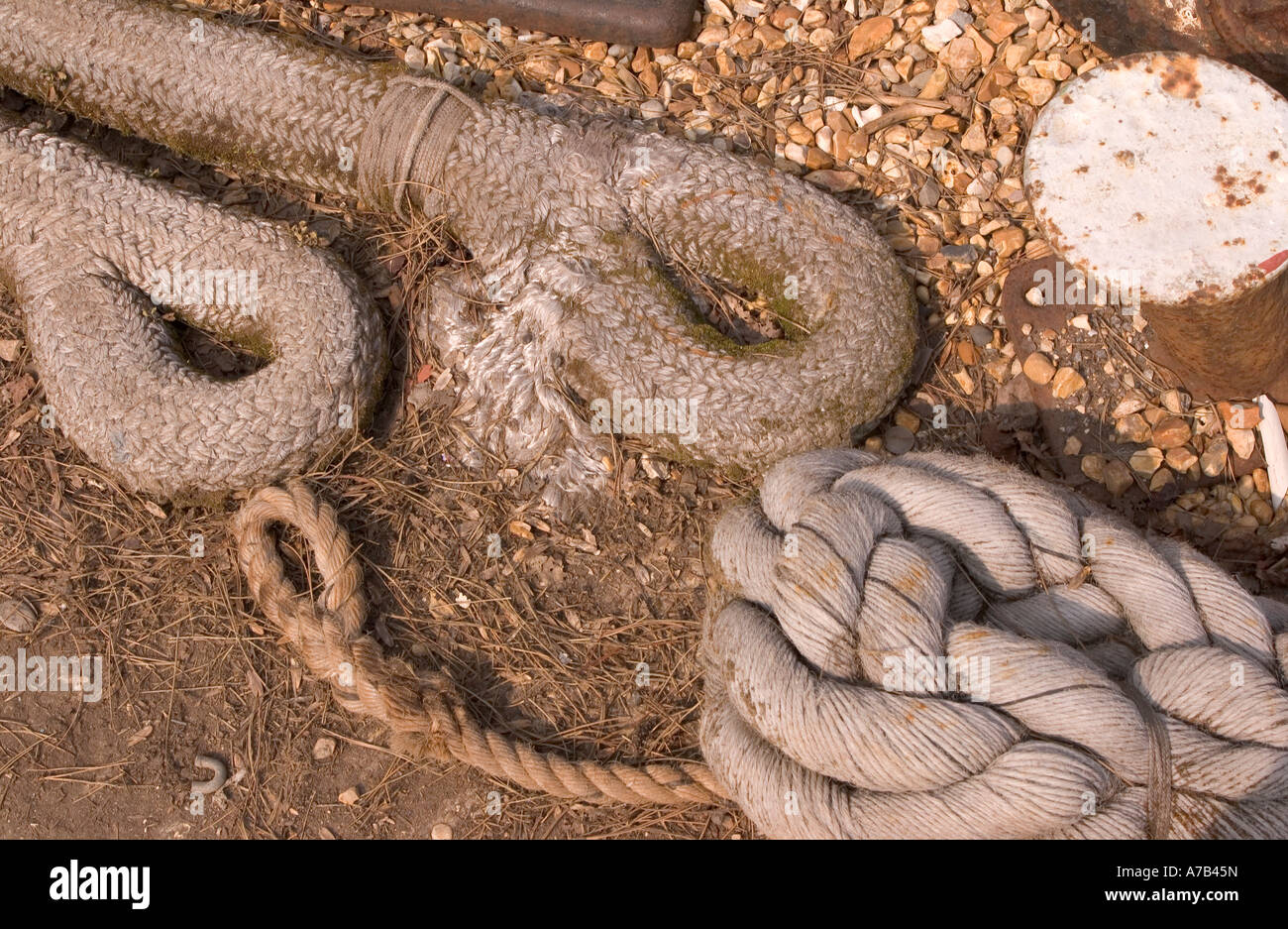 Cameo study of yacht rope and sheets with eye splice and multi strand ...