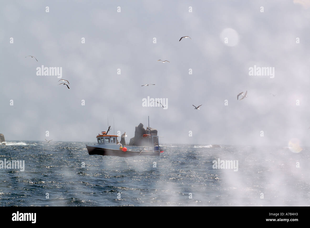Isles scilly eastern hi-res stock photography and images - Alamy