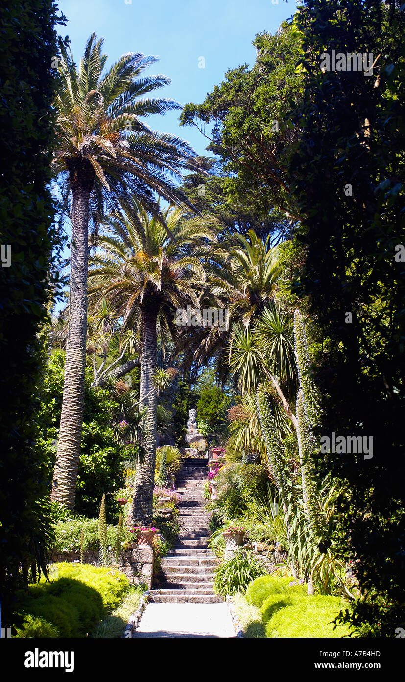 Isles of scilly palm tree hi-res stock photography and images - Alamy
