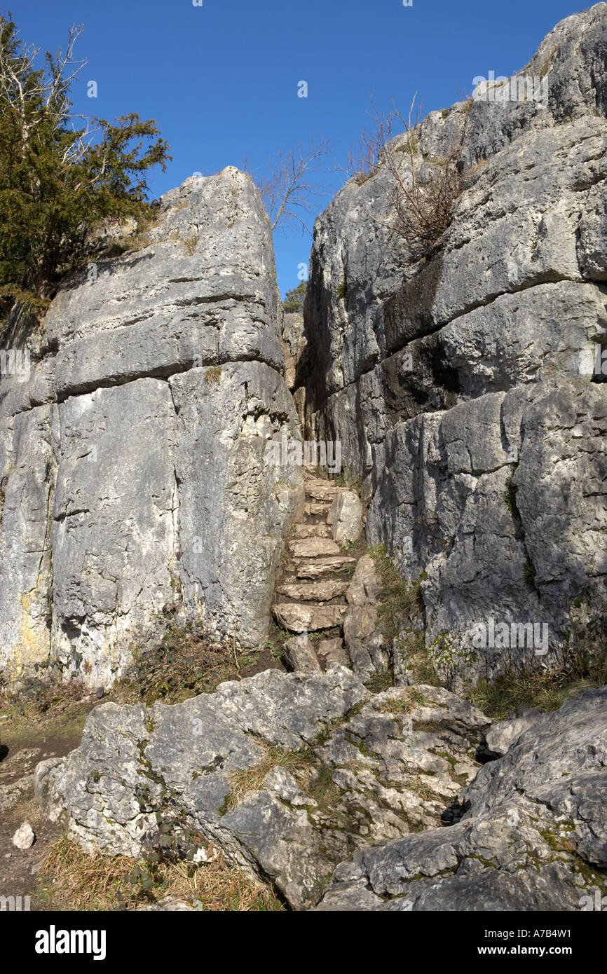 Beetham Fairy Steps in a limestone cliff Stock Photo - Alamy