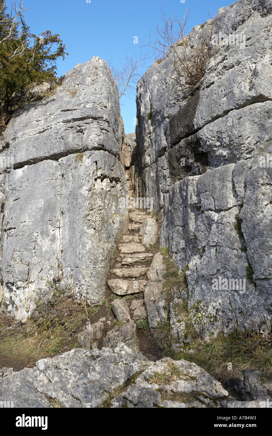 Beetham Fairy Steps in a limestone cliff Stock Photo - Alamy