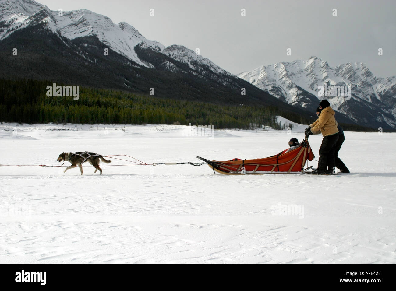 Sled dog sled sleigh skids hi-res stock photography and images - Alamy