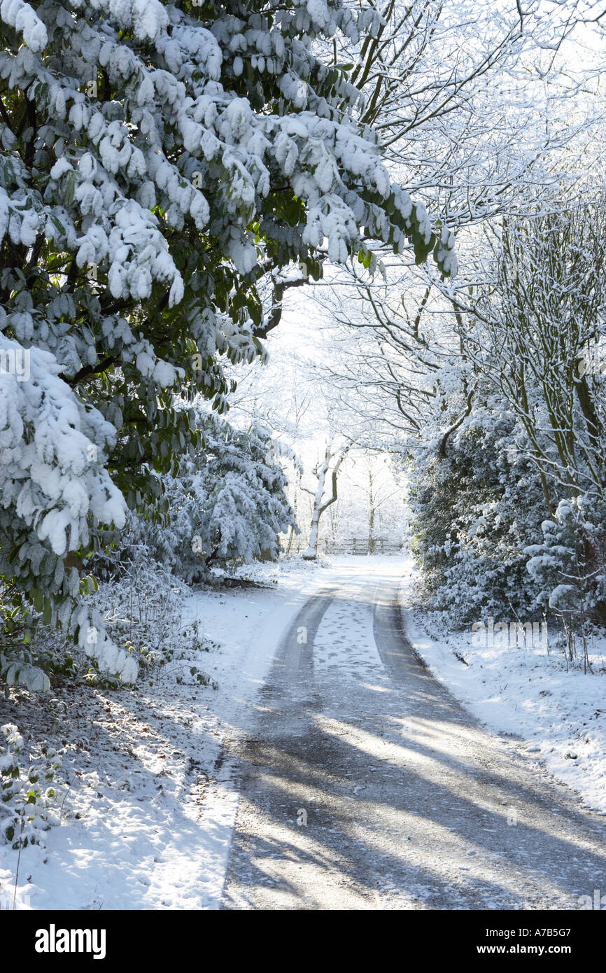 snow covered country lane Stock Photo - Alamy
