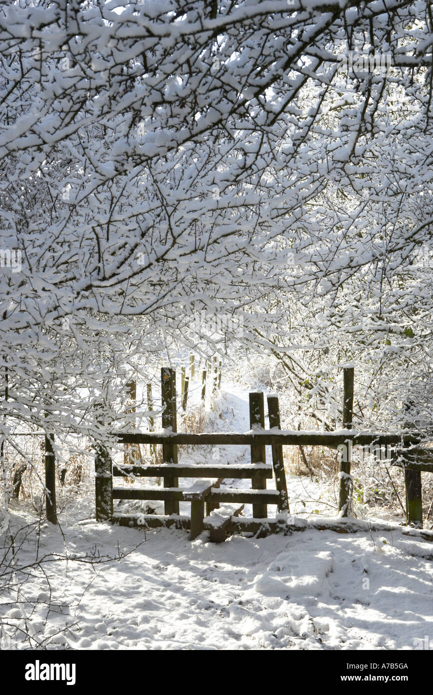 080c878 hi-res stock photography and images - Alamy