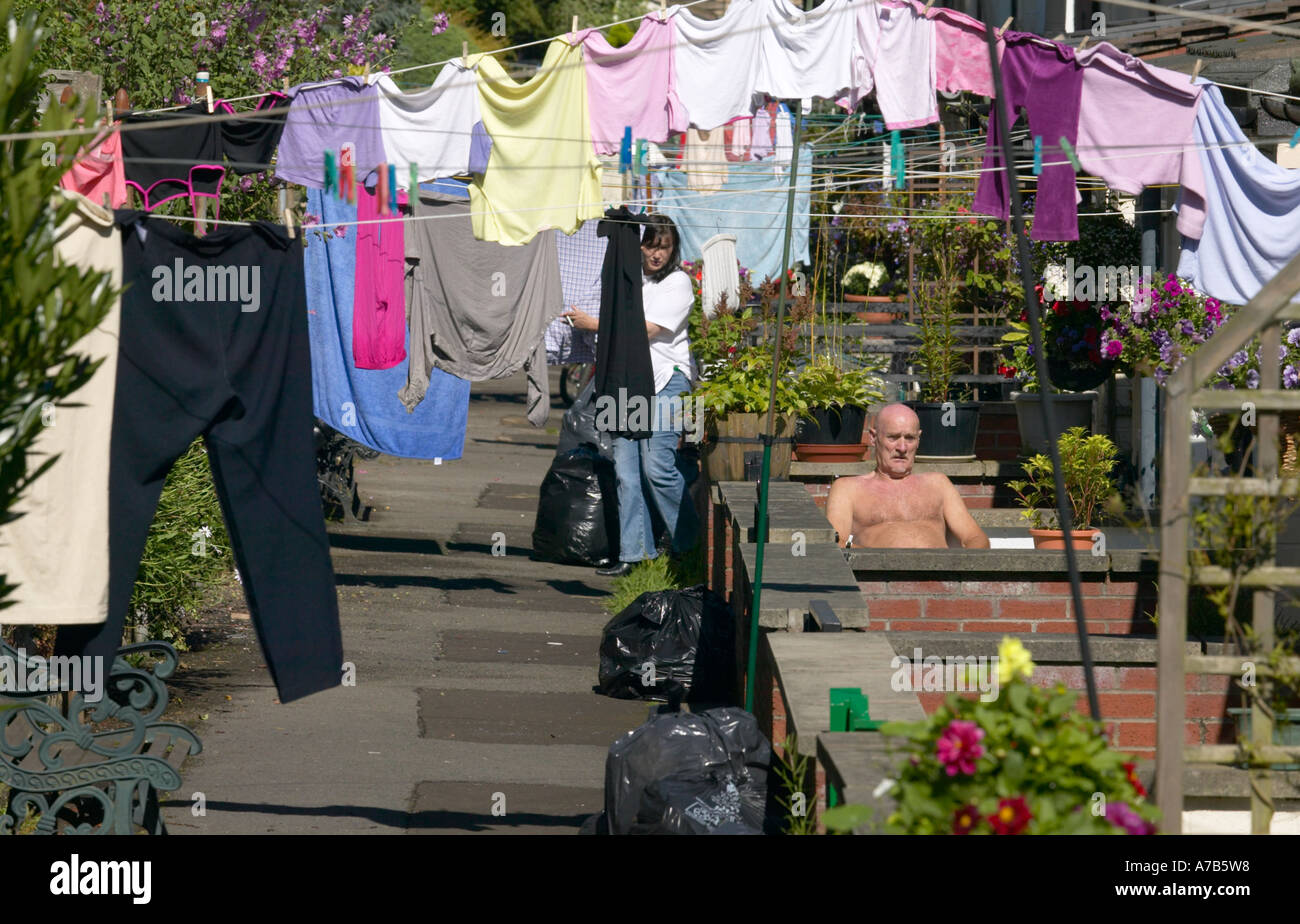 typical back of terrace scene in urban England Stock Photo - Alamy