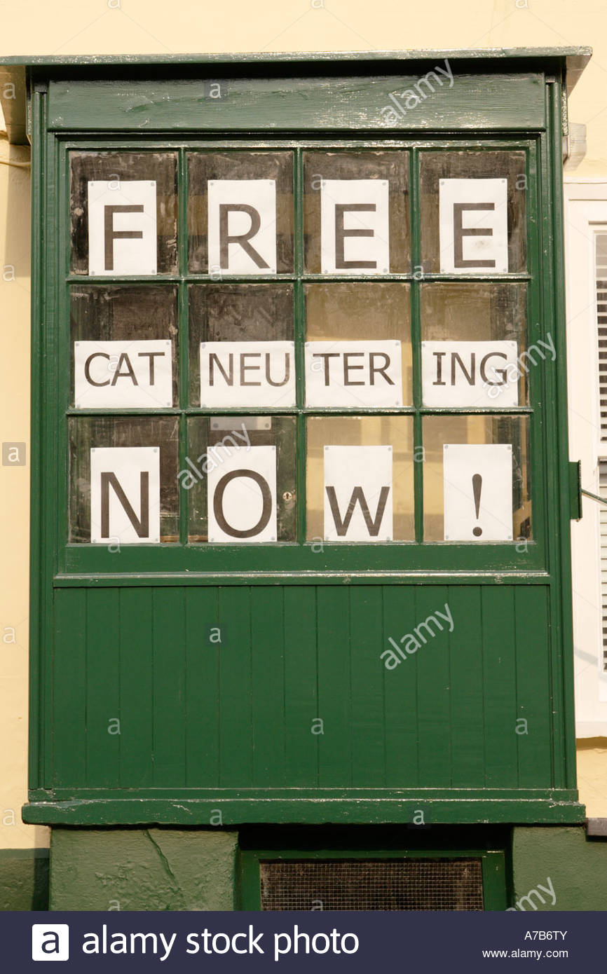 Neutering Stock Photos & Neutering Stock Images - Alamy