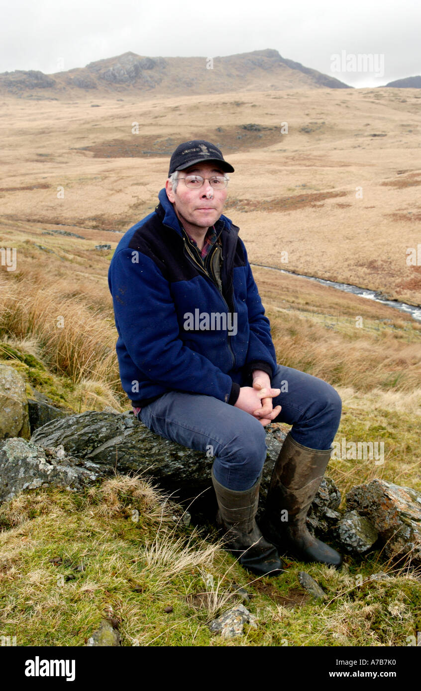 Welsh sheep farmer snowdonia hi-res stock photography and images - Alamy