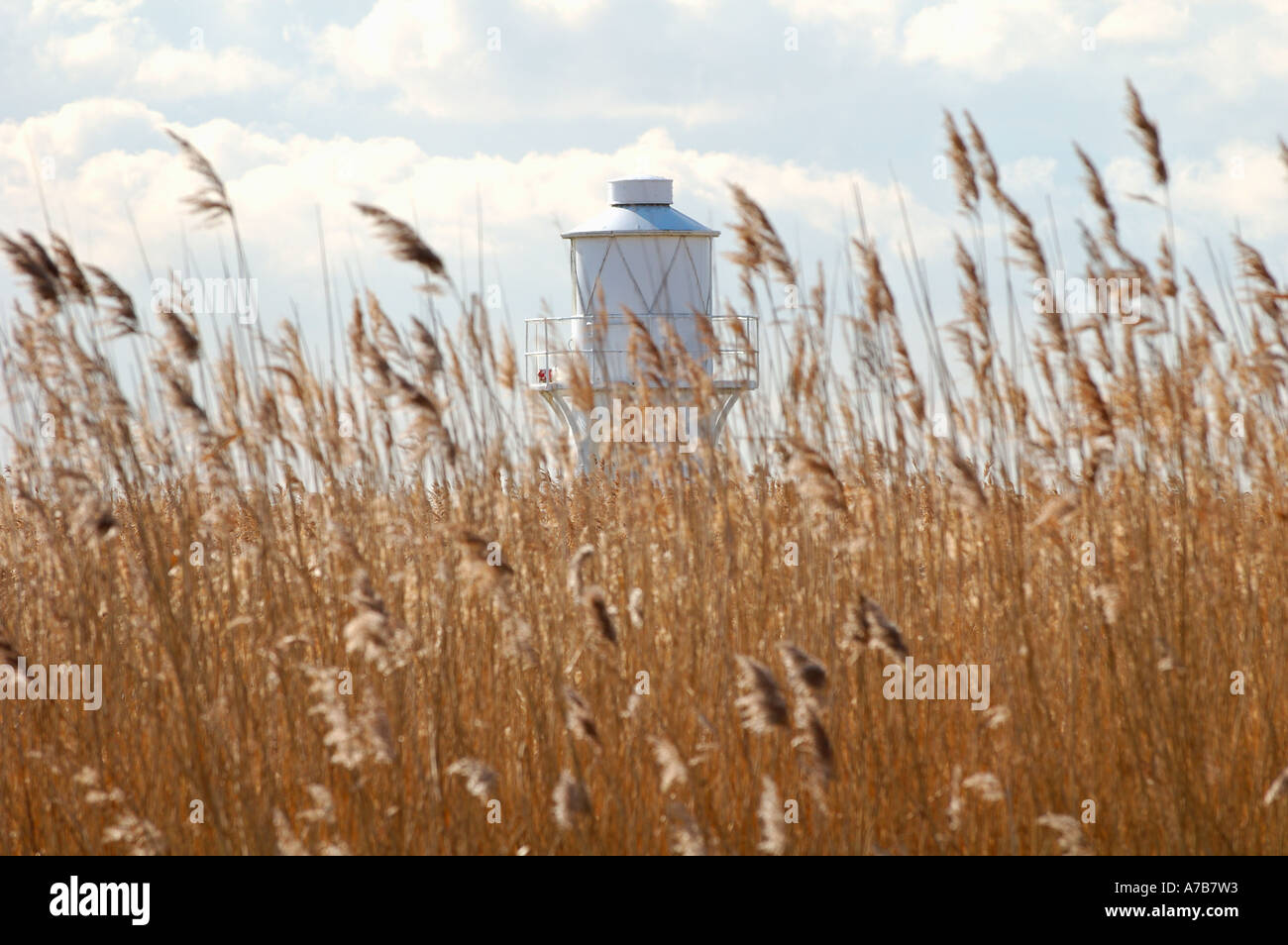 Reedbed and Lighthouse at Newport Wetlands National Nature Reserve ...