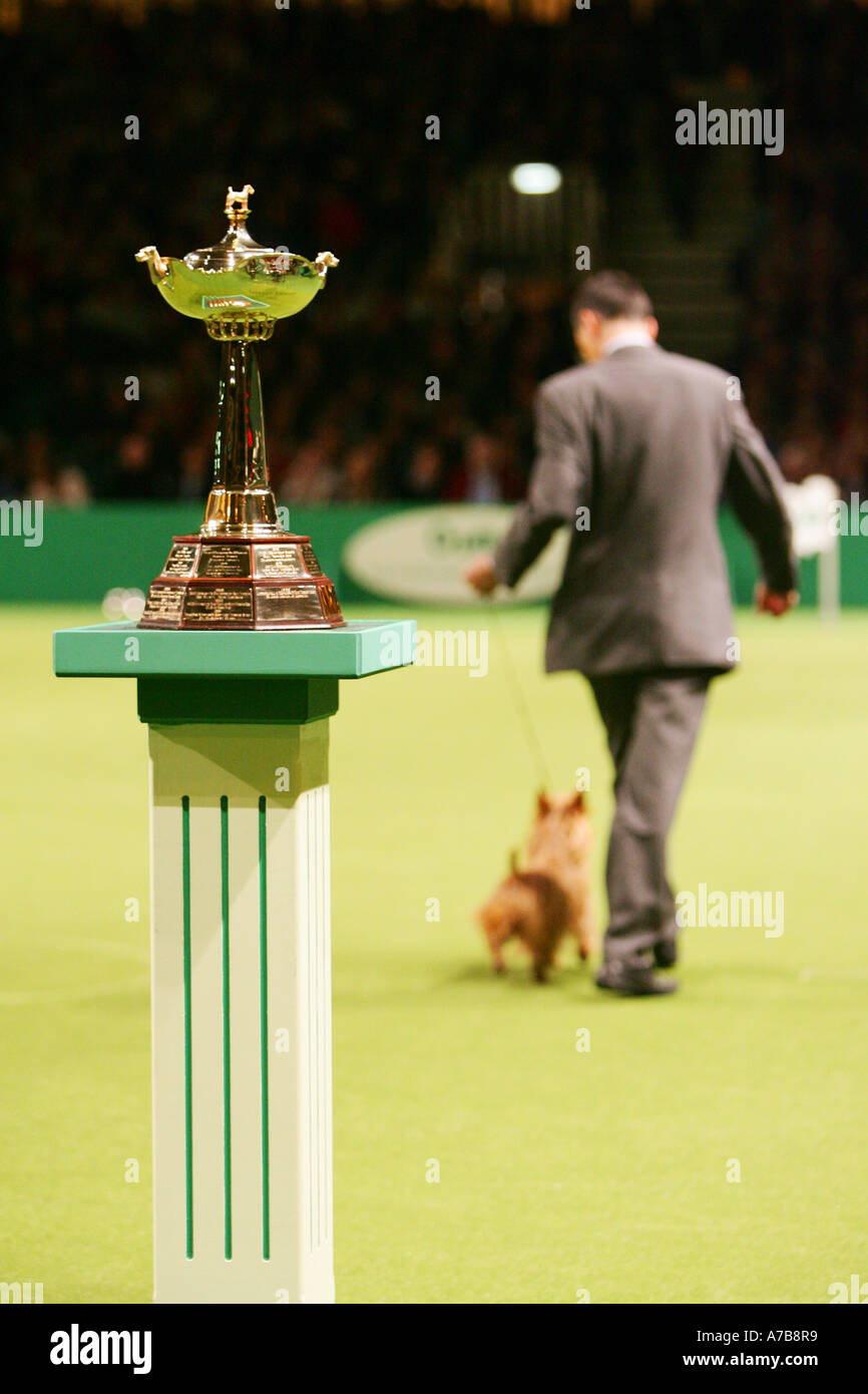 Crufts Dog Show trophy Stock Photo - Alamy