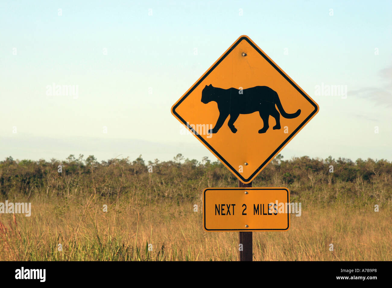 Panther crossing sign hi-res stock photography and images - Alamy