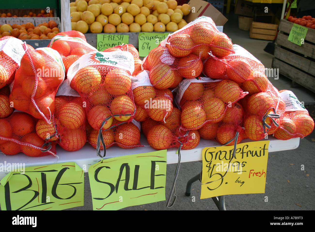 grapefruit for sale at a farmers market in Sarasota Florida Stock Photo ...