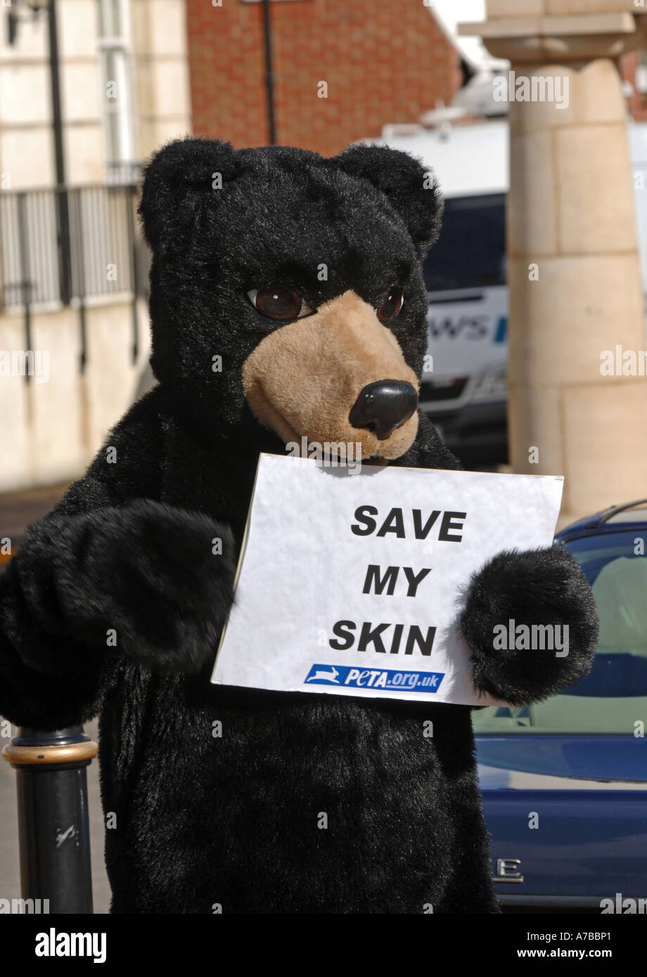 Anti bear hi-res stock photography and images - Alamy