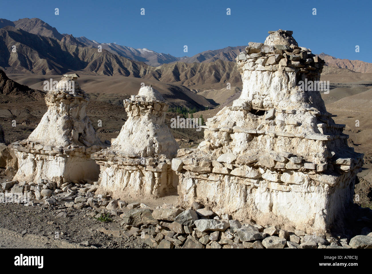 stupas alchi valley Stock Photo - Alamy
