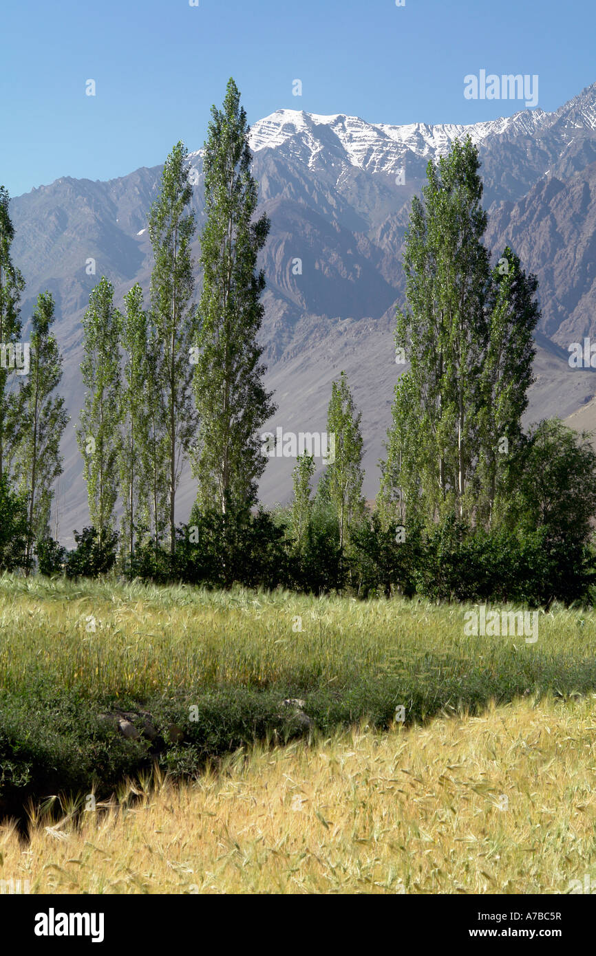 Saspol ladakh hi-res stock photography and images - Alamy