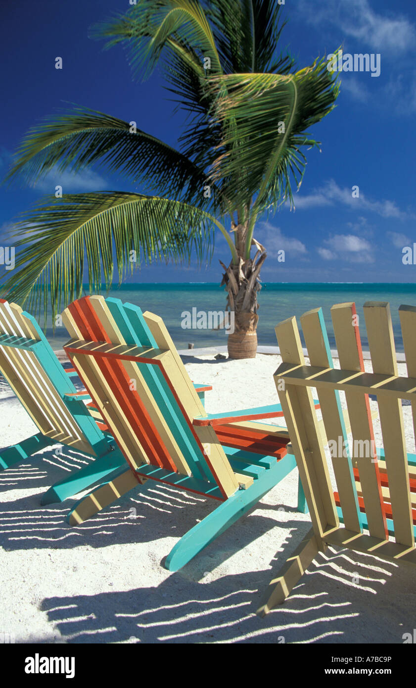 wooden beach chairs and palm tree on sandy beach Stock Photo - Alamy